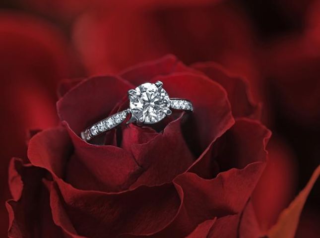 Shop at Paul Sheeran Jewellers | humm Ireland