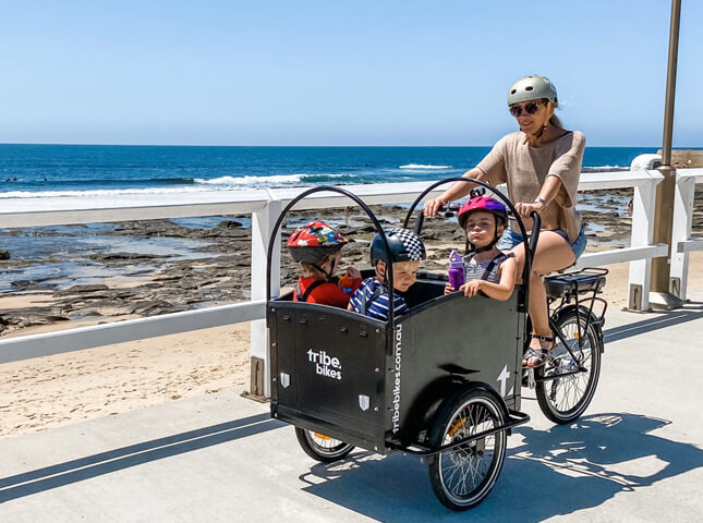 Tribe Bikes | humm Classic