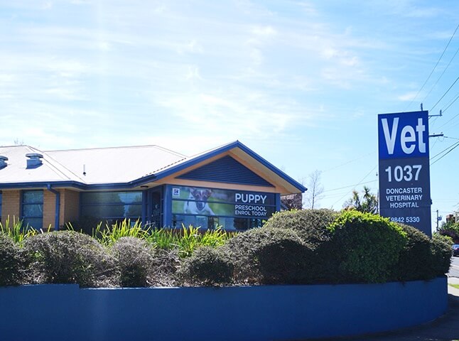 Doncaster Veterinary Hospital | humm Classic